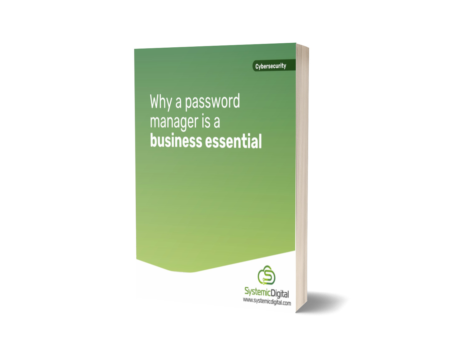 Why a Password Manager Is a Business Essential - Systemic Digital